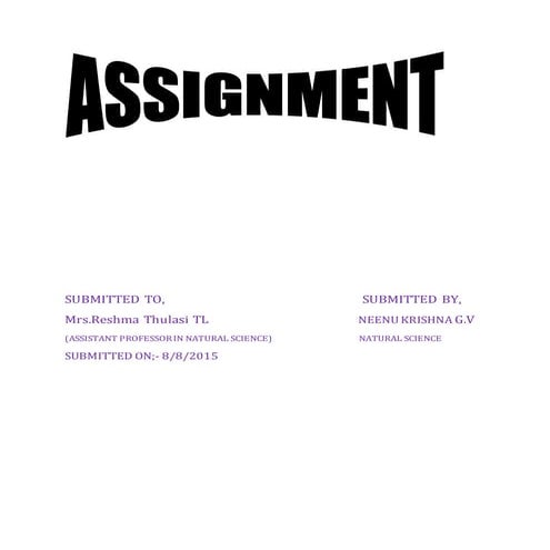online assignment | PDF