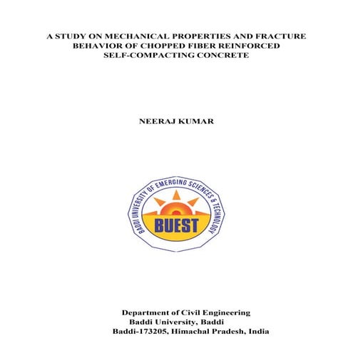 Neeraj file thesis final | PDF