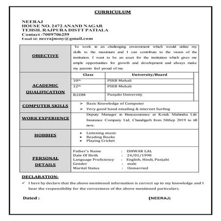 NEERAJ RESUME.doc