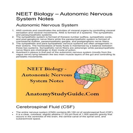 NEET Biology – Autonomic Nervous System Notes | PDF