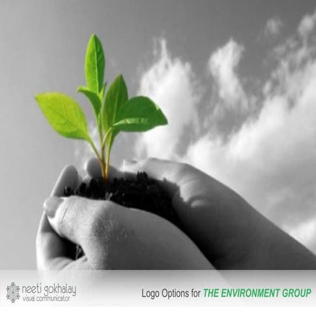 The Environment Group | PDF