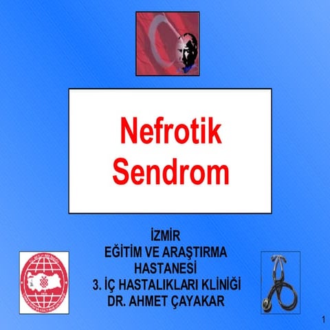 Nefrotik Sendrom | PPT