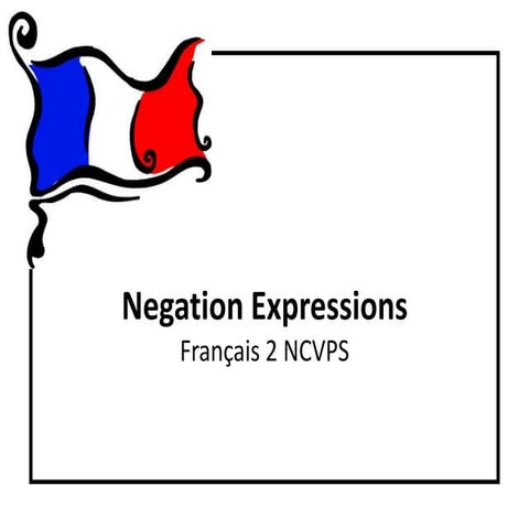 Negation Expressions in French | PPTX