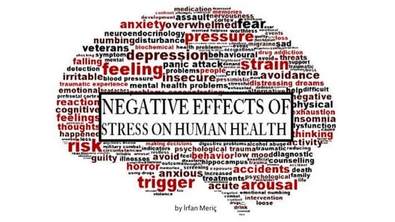 Negative Effects Of Stress COVID 19's Negative Effect On Mental Health
