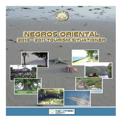 NIR (Negros Island Region) Region XVIII | PPTX