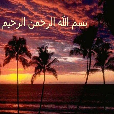 Nehad m. sayed (ain shams)1 | PPT