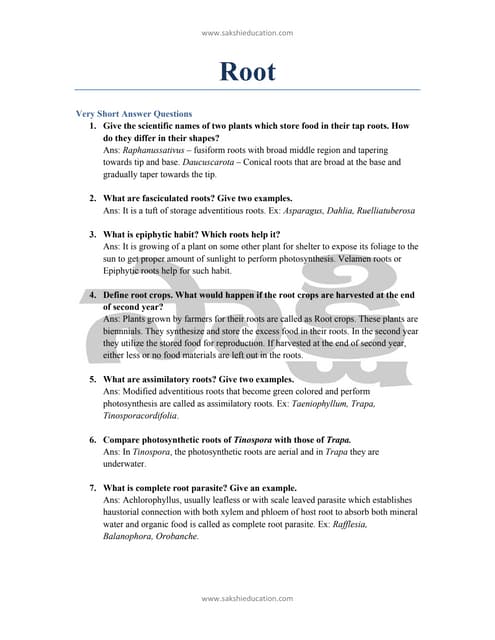 Sciophytes | PPTX | Gardening | Home & Garden