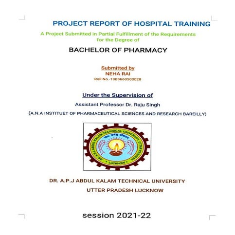 Nihari hospital project report (1).pdf