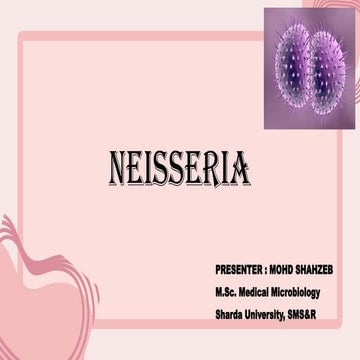 Neisseria Bacteria: Pathogenesis, Classification, and Clinical ...