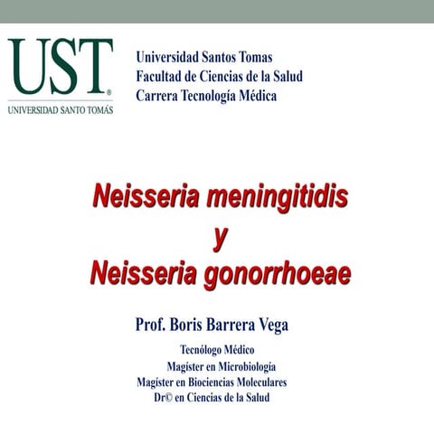 neisseria y moraxella UST.ppt
