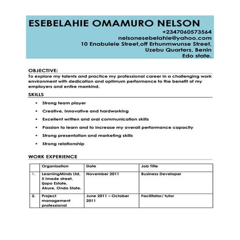 Nelsons cv (1) | DOCX