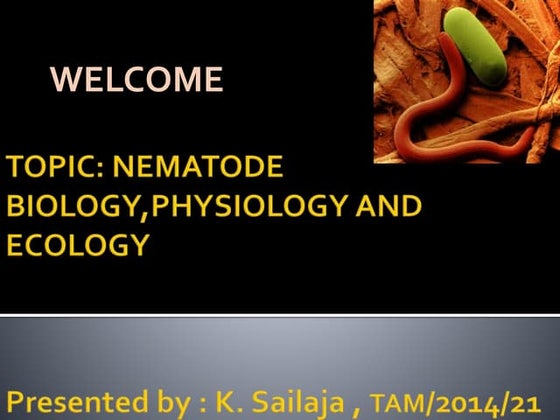 Reproductive system of Nematodes | PPT