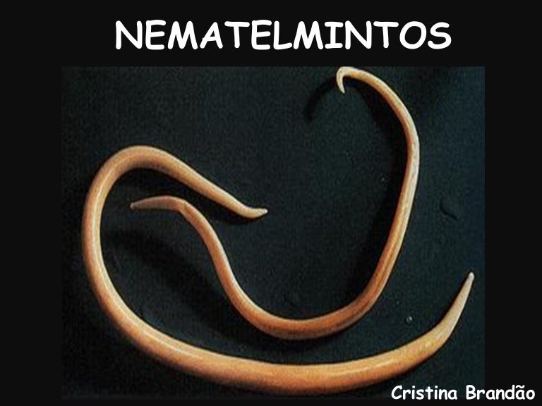 Nematelmintos