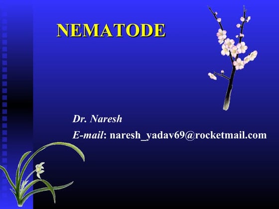 Nematode Notes | PPT