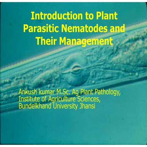 nematode.pdf
