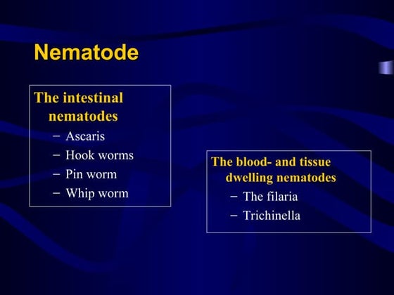 INTESTINAL NEMATODES practical microbiology | PPT
