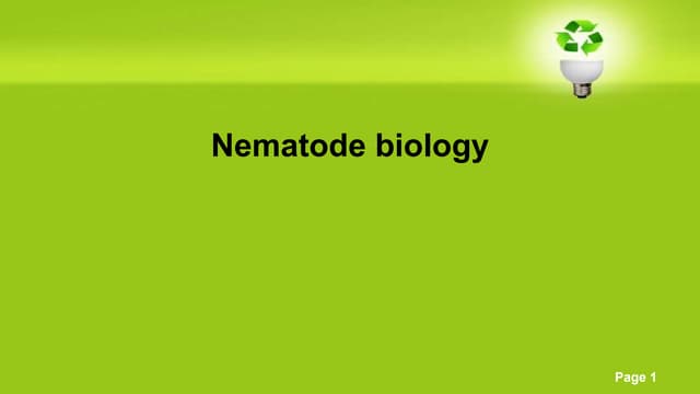 Morphology of nematodes | PPTX
