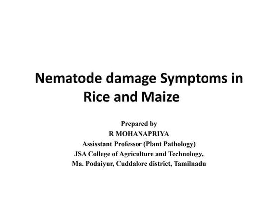 RED RING NEMATODE PRESENTATION.pptx