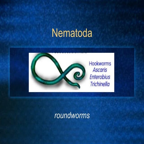 Nematode Notes | PPT