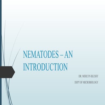 Morphology of nematodes | PPTX