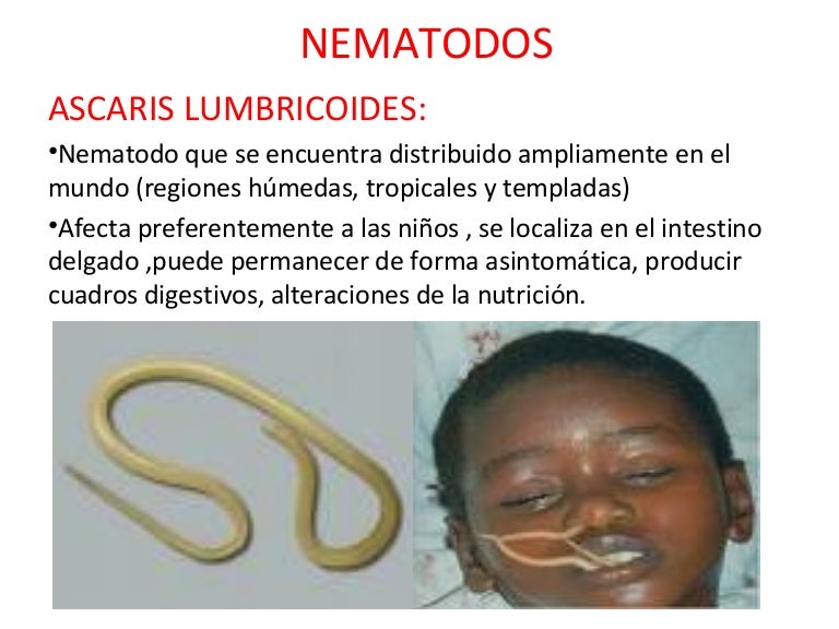 Nematodos