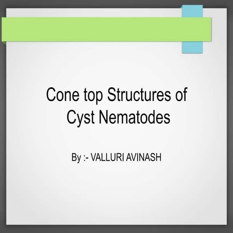 cone top structures of cyst nematodes and their identification | PPTX