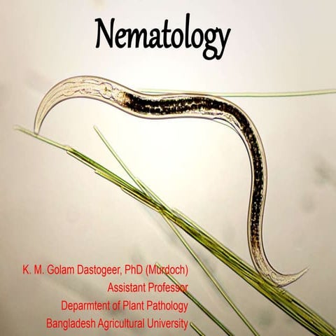 Introduction and History Nematology and Taxonomy of Plant Parasitic ...