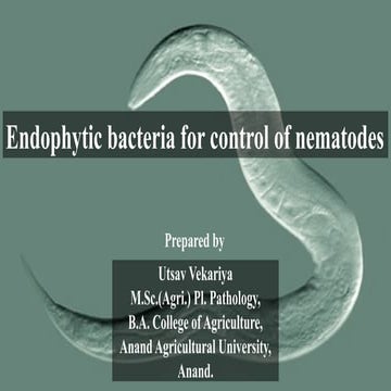 Endophytic bacteria for control of nematodes | PPTX