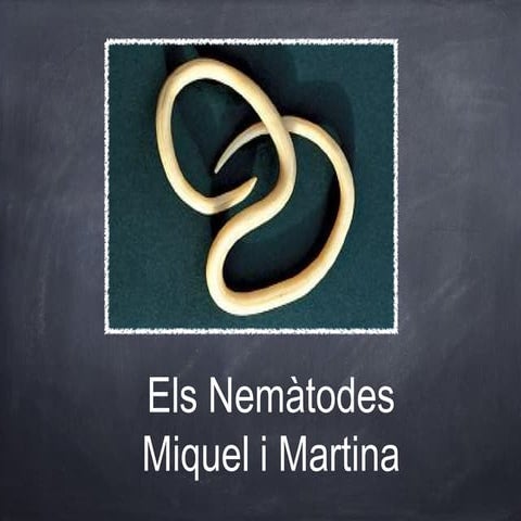 Nemàtodes (1) | PPT