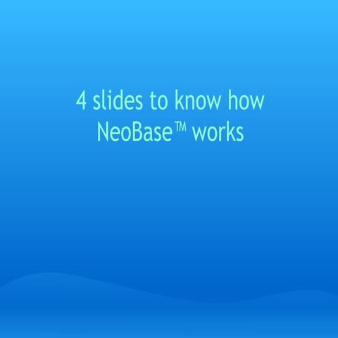Neo Base In 4 Slides | PDF