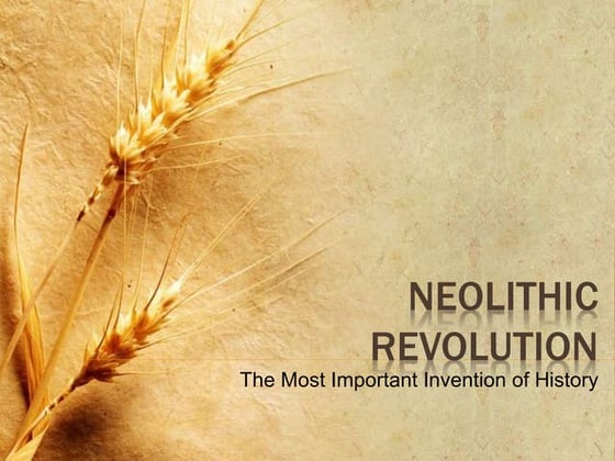 Community engagement-solidarity-and-citizenship | PPT