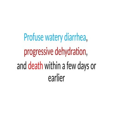 Neonatal Diarrhea in ruminants by mahpara safdar | PPTX