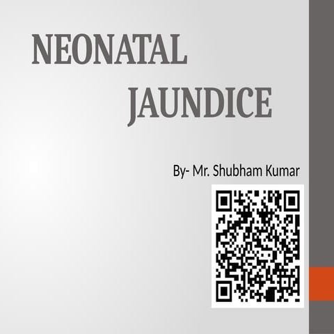 Megaloblastic Anemia Explained | Bilingual Notes for D.Pharm & B.Pharm.pptx