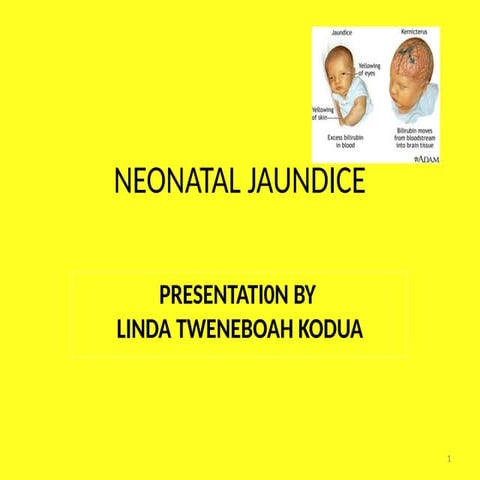 NEONATAL JkkkhhgfffddddddrrftAUNDICE.pptx