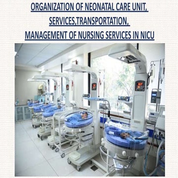 NEONATAL ORGANIZATION.pptx