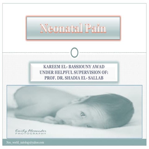 Neonatal Pain | PPT
