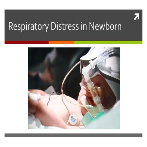 Neonatal Chest X-Ray | PPTX