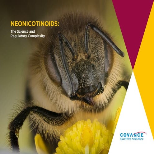 Neonicotinoids: The Science and Regulatory Complexity | PPT