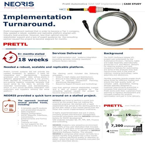 NEORIS Case Study - Prettl | PDF
