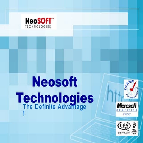 Neosoft Overview | PPT | Business | Business and Finance