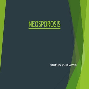 Neosporosis | PPTX