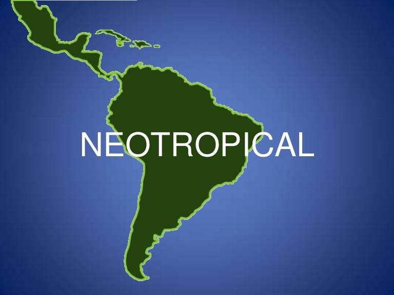 Neotropical ecozone