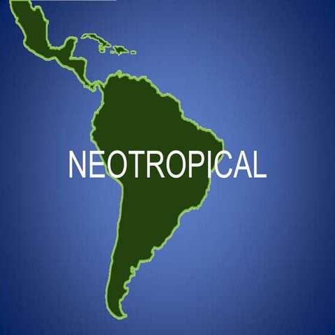 Neotropical Region