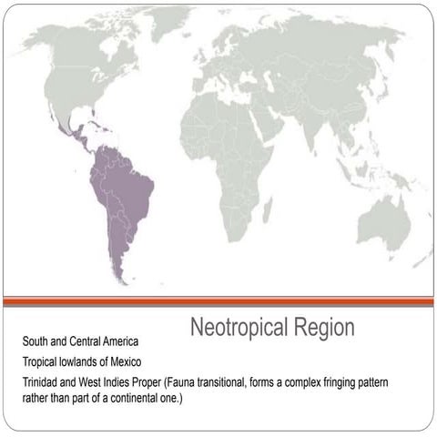 Neotropical region | PPTX