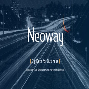 Neoway Business Solution (English) | PDF