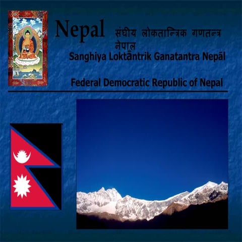 Demograhic environment of nepal | PDF