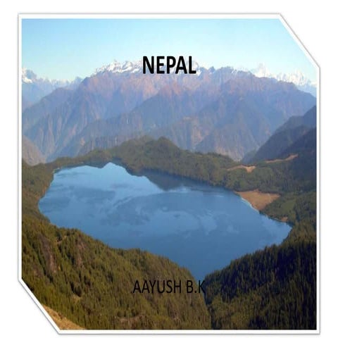 Nepal aayush | PPTX