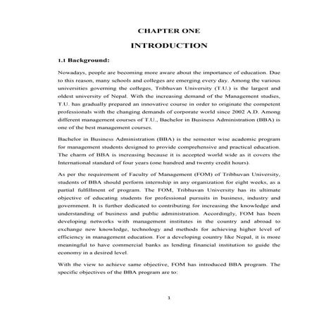 Nepal investment bank | PDF