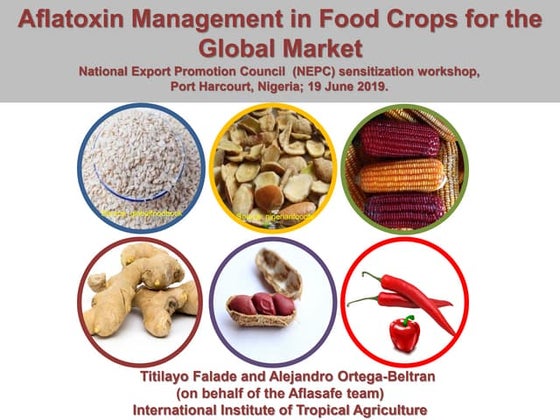 Prevalence of aflatoxin along the maize value chain in kenya | PPT
