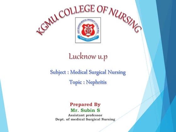 NEPHRITIS | PPT